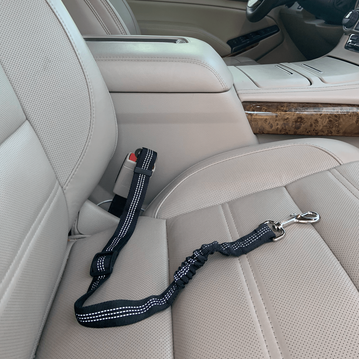 Car Elastic Safety Leash | Threaded Pear
